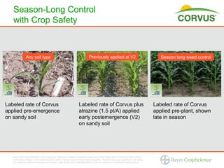 Corvus Corn Herbicide - 2012 Brand Presentation | PPT | Agriculture ...