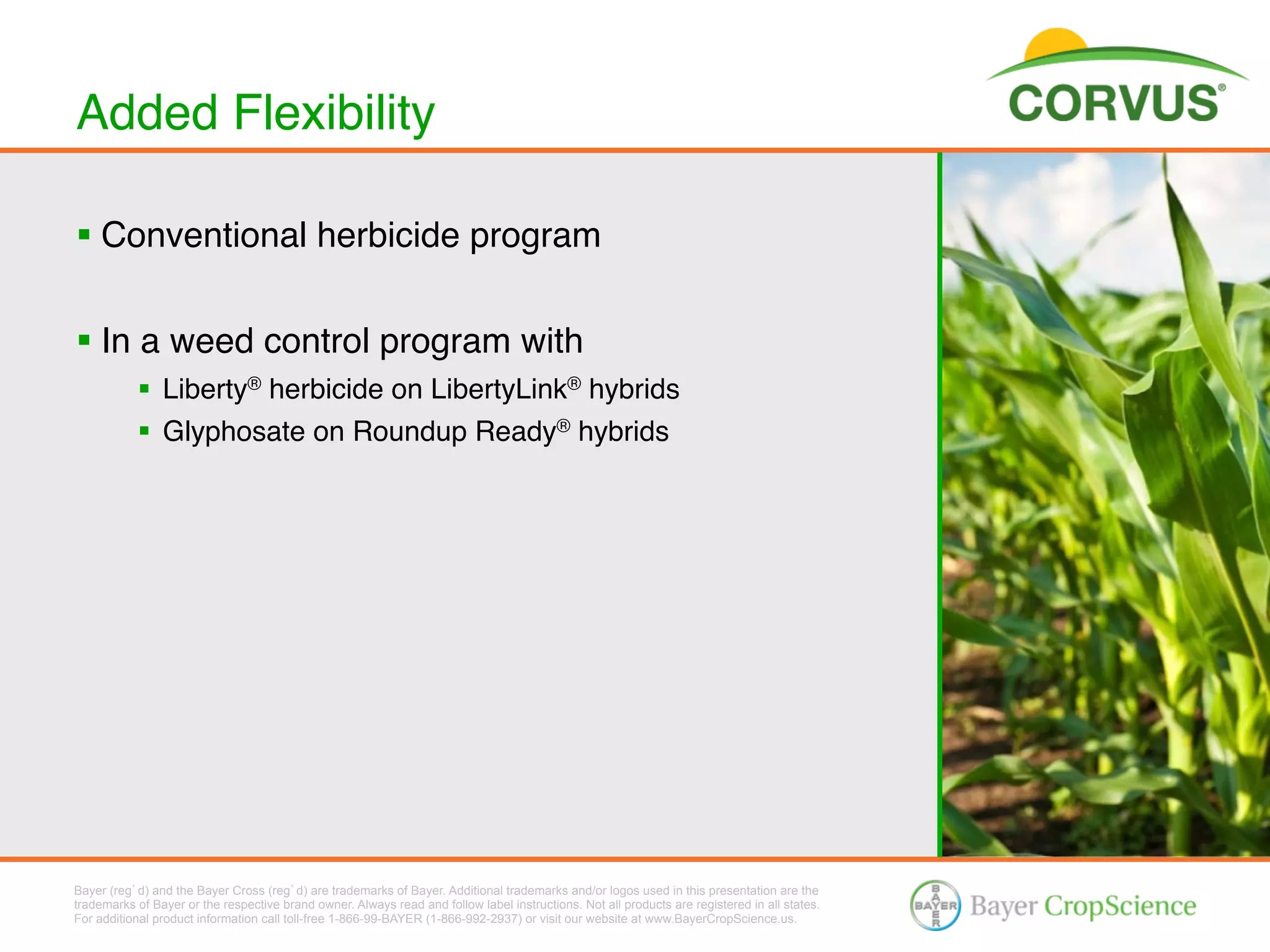 Corvus Corn Herbicide - 2012 Product Guide | PDF