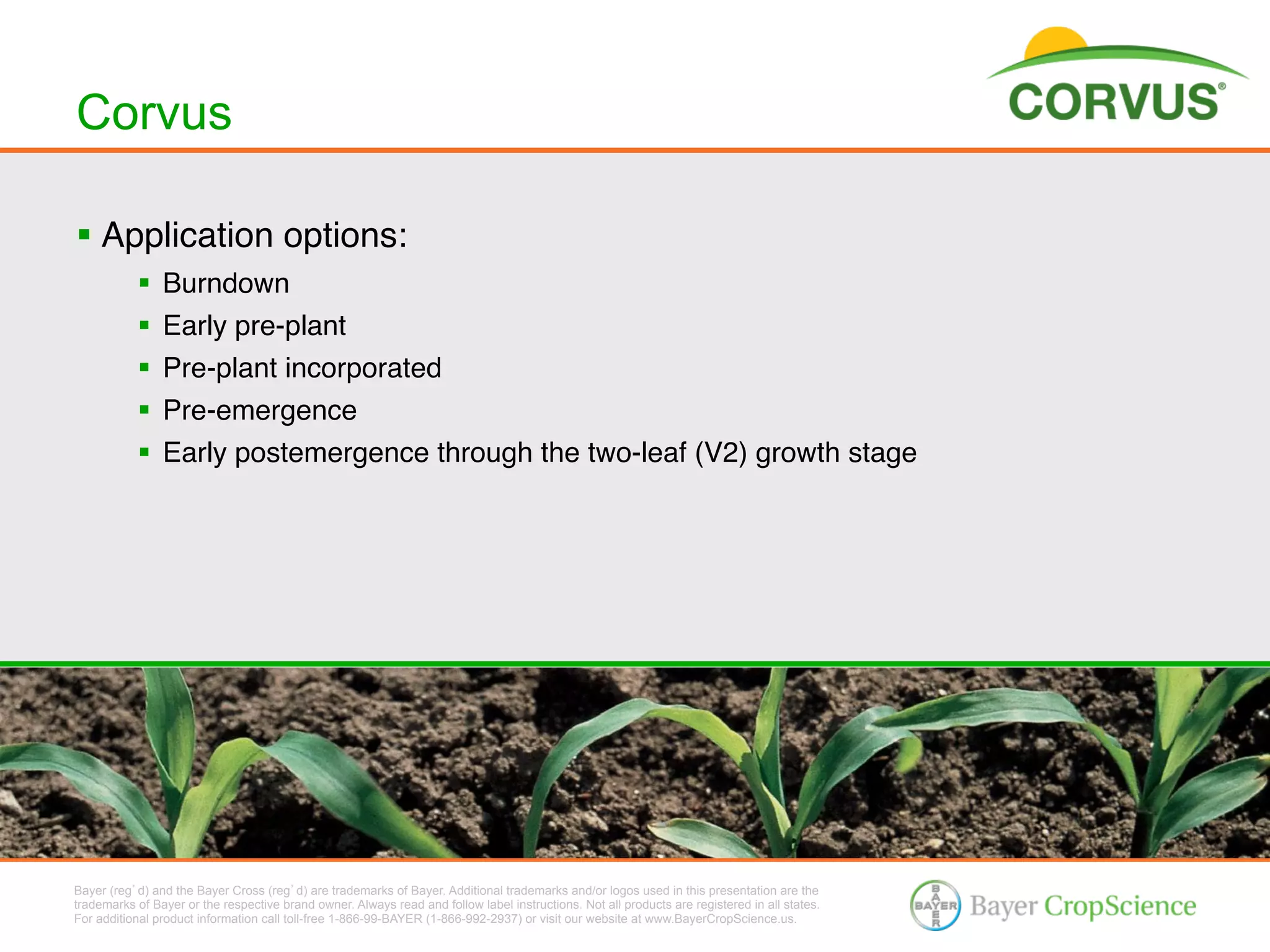 Corvus Corn Herbicide - 2012 Product Guide | PDF