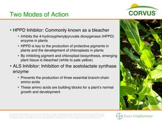 Corvus Corn Herbicide - 2012 Product Guide | PPT