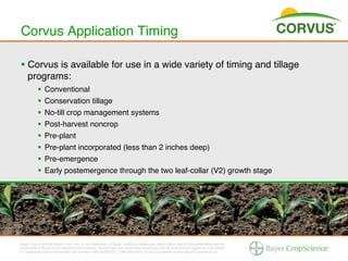 Corvus Corn Herbicide - 2012 Product Guide | PPT