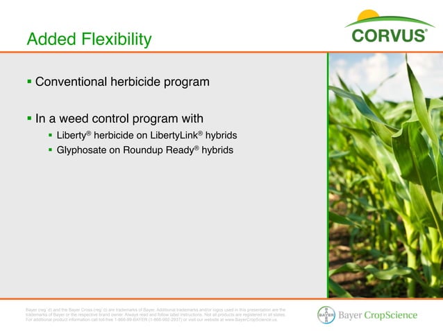 Corvus Corn Herbicide - 2012 Product Guide | PPT