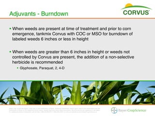 Corvus Corn Herbicide - 2012 Product Guide | PPT