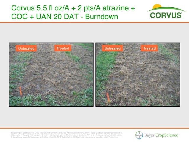 Corvus Corn Herbicide - 2012 Product Guide | PPT