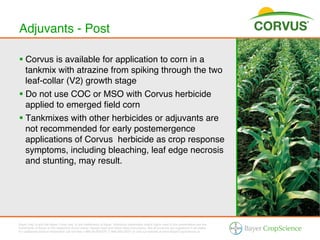 Corvus Corn Herbicide - 2012 Product Guide | PPT