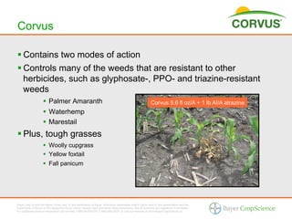 Corvus Corn Herbicide - 2012 Product Guide | PPT