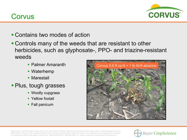 Corvus Corn Herbicide - 2012 Product Guide | PPT