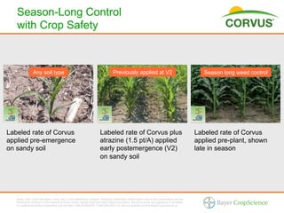 Corvus Corn Herbicide - 2012 Product Guide | PPT