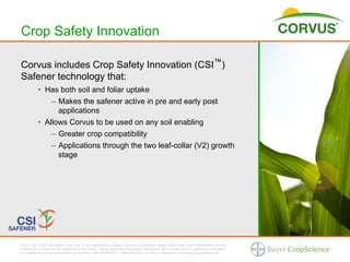 Corvus Corn Herbicide - 2012 Product Guide | PPT
