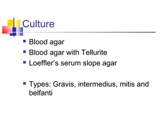 Corynaebacteria | PPT | Ear, Nose and Throat Conditions | Diseases and ...