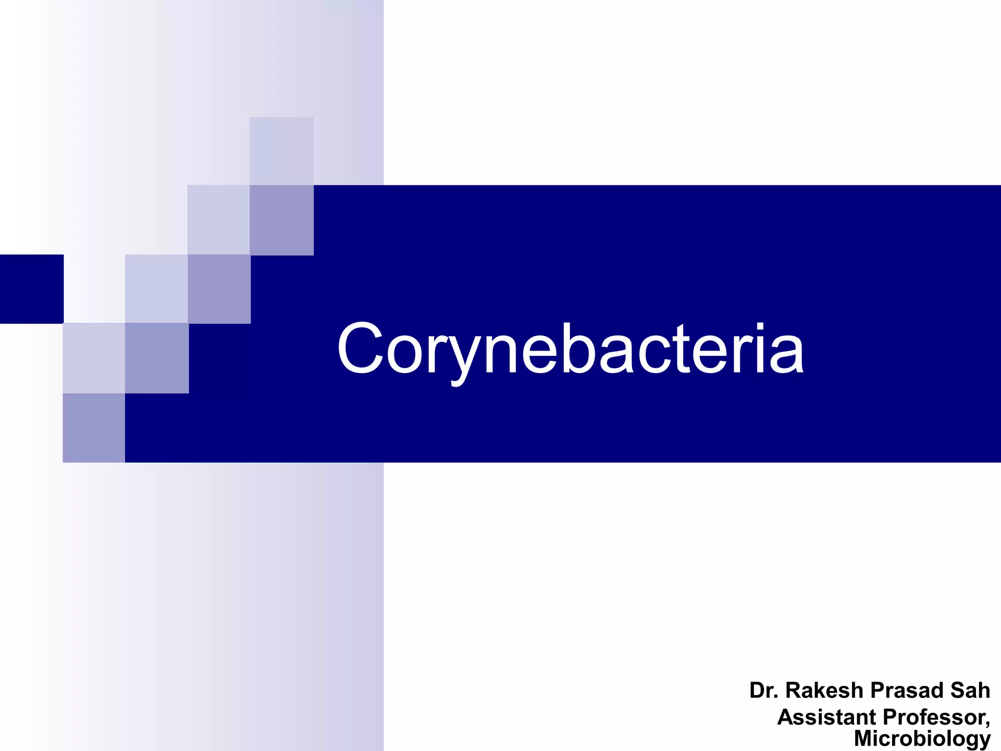 Corynebacteria by Dr. Rakesh Prasad Sah | PPT