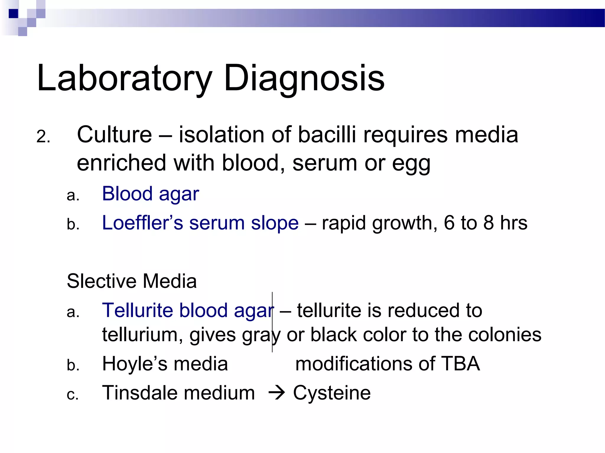 Corynebacteria by Dr. Rakesh Prasad Sah | PPT