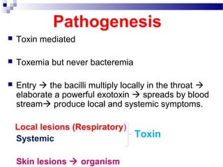 Corynebacteria by Dr. Rakesh Prasad Sah | PPT