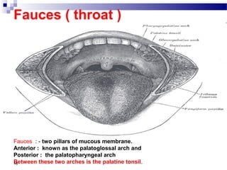 Corynebacteria by Dr. Rakesh Prasad Sah | PPT