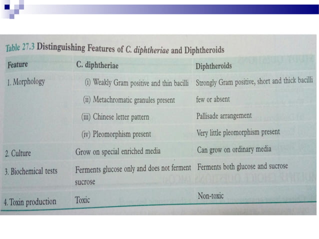 Corynebacteria by Dr. Rakesh Prasad Sah | PPT