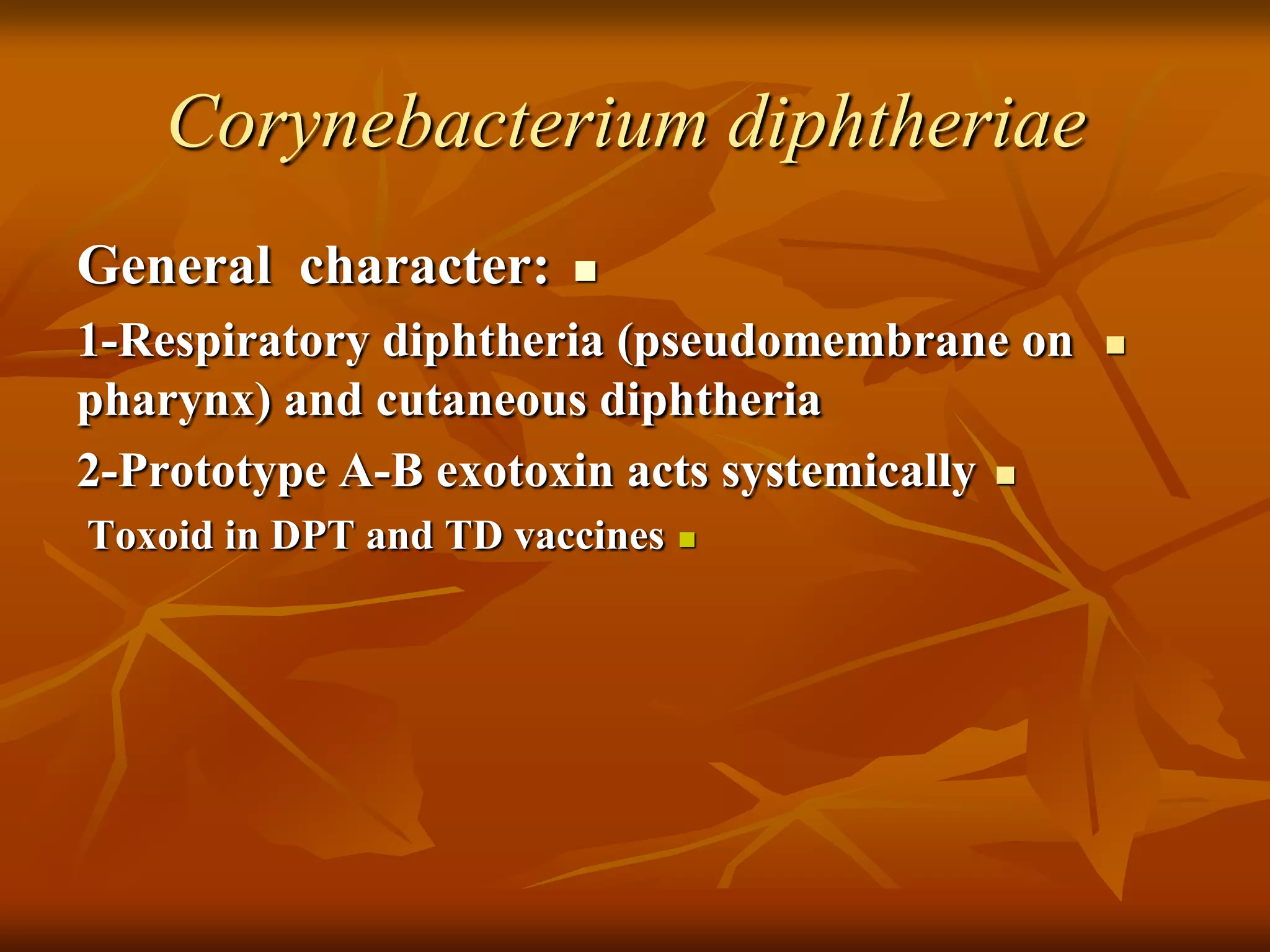 Corynebacteria.pdf