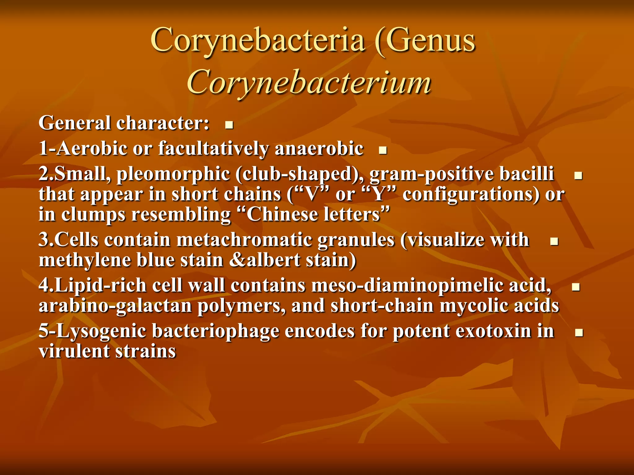 Corynebacteria.pdf