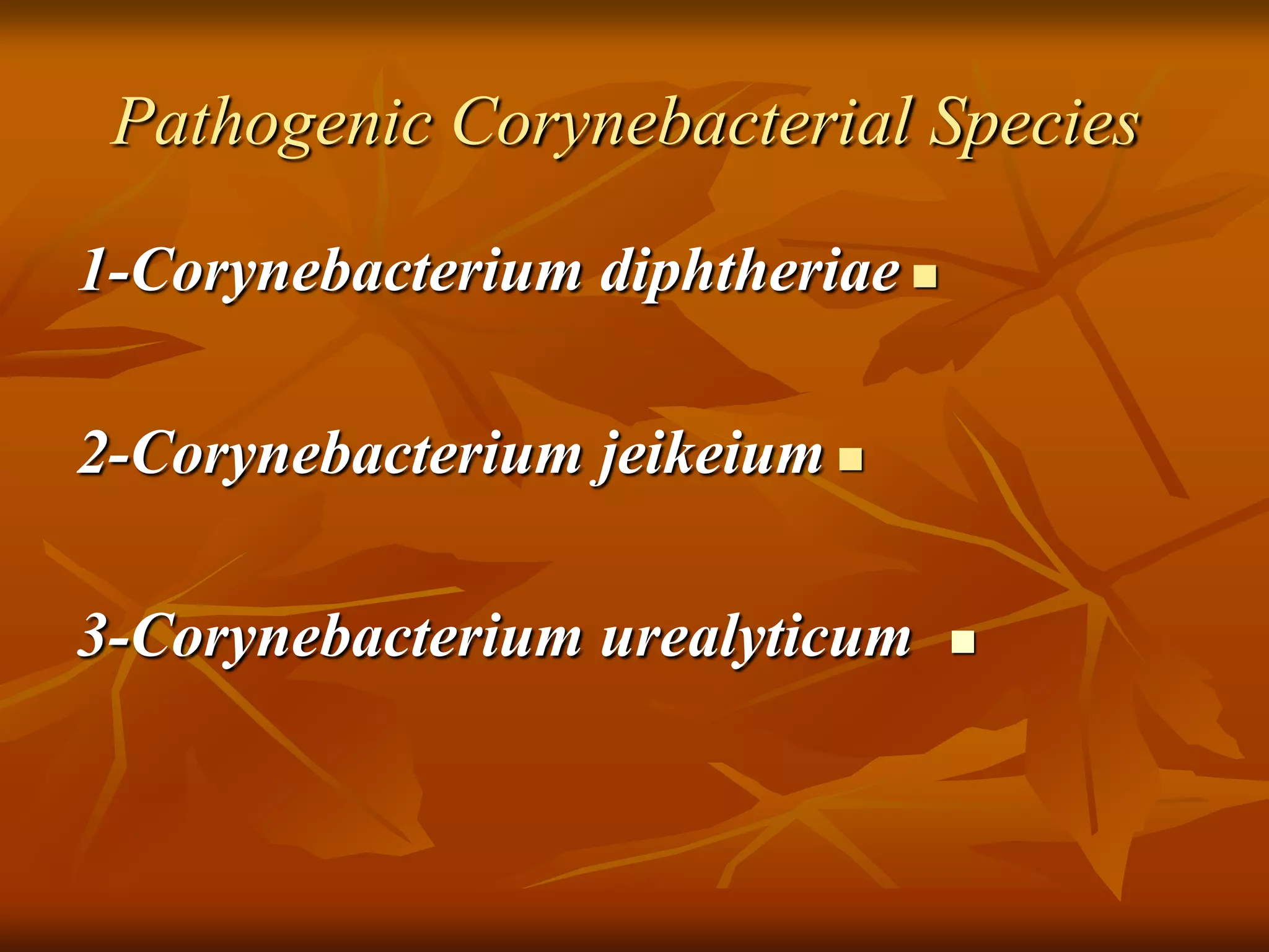 Corynebacteria.pdf