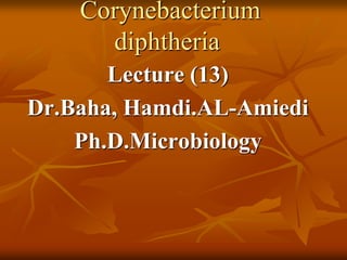 Corynebacteria.pdf
