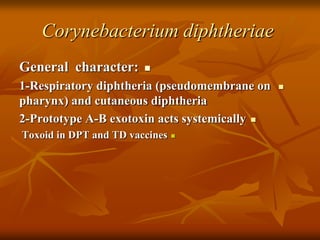 Corynebacteria.pdf