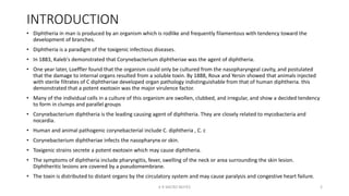 CORYNEBACTERIAM DIPTHERIA INFECTIONS K R.pptx