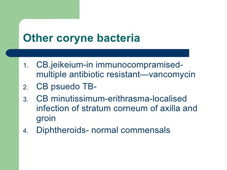 Corynebacterium
