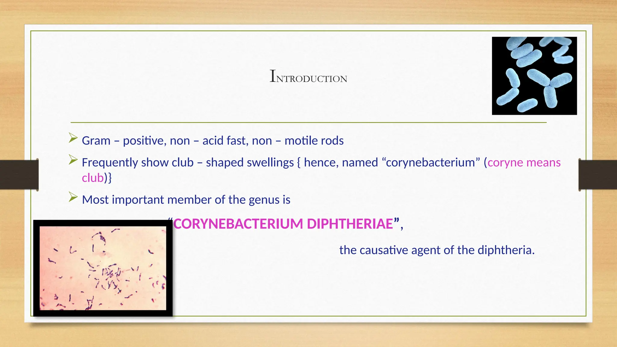 microbiology corynebacterium-11 fcm (1).pptx