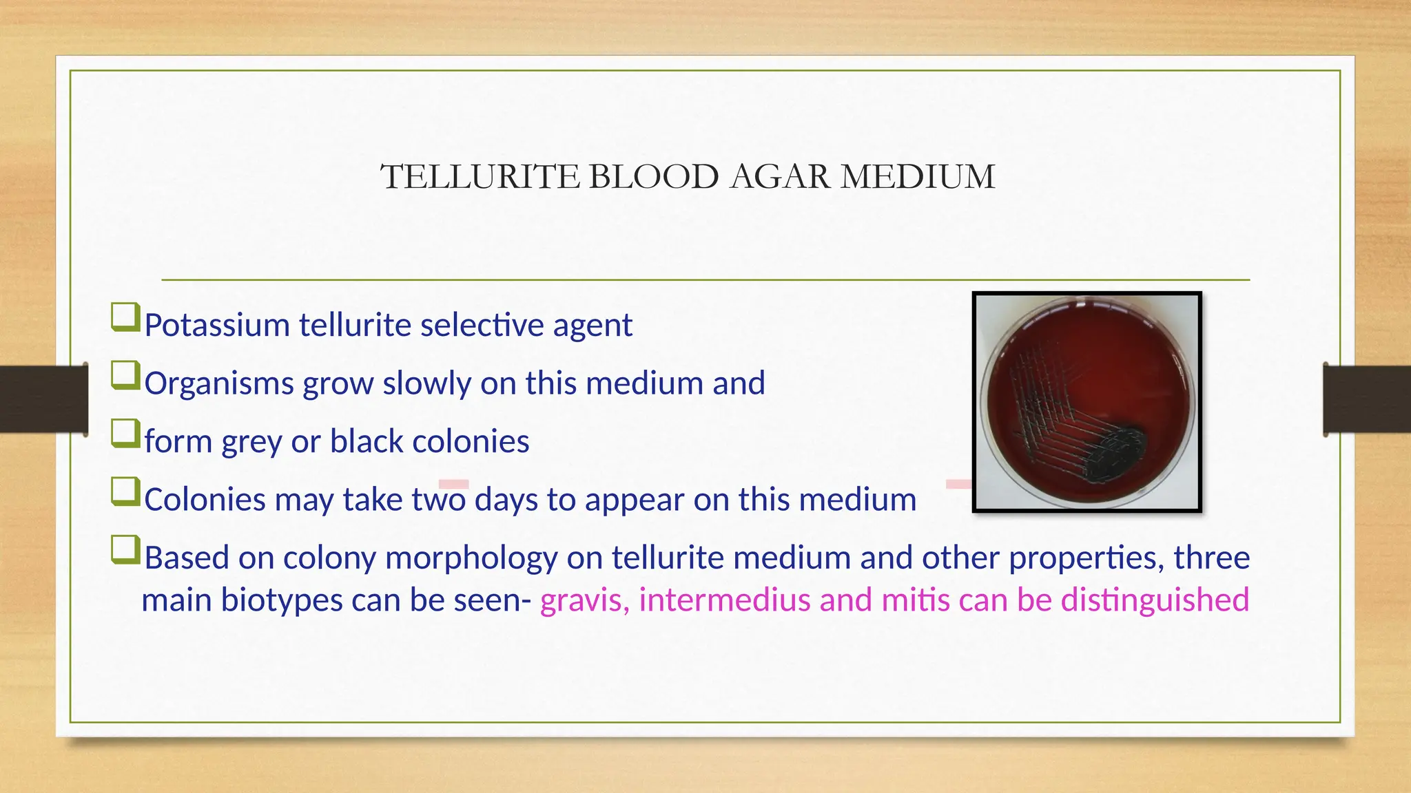 microbiology corynebacterium-11 fcm (1).pptx