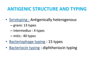Corynebacterium | PPTX