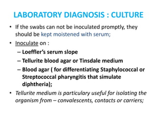 Corynebacterium | PPTX