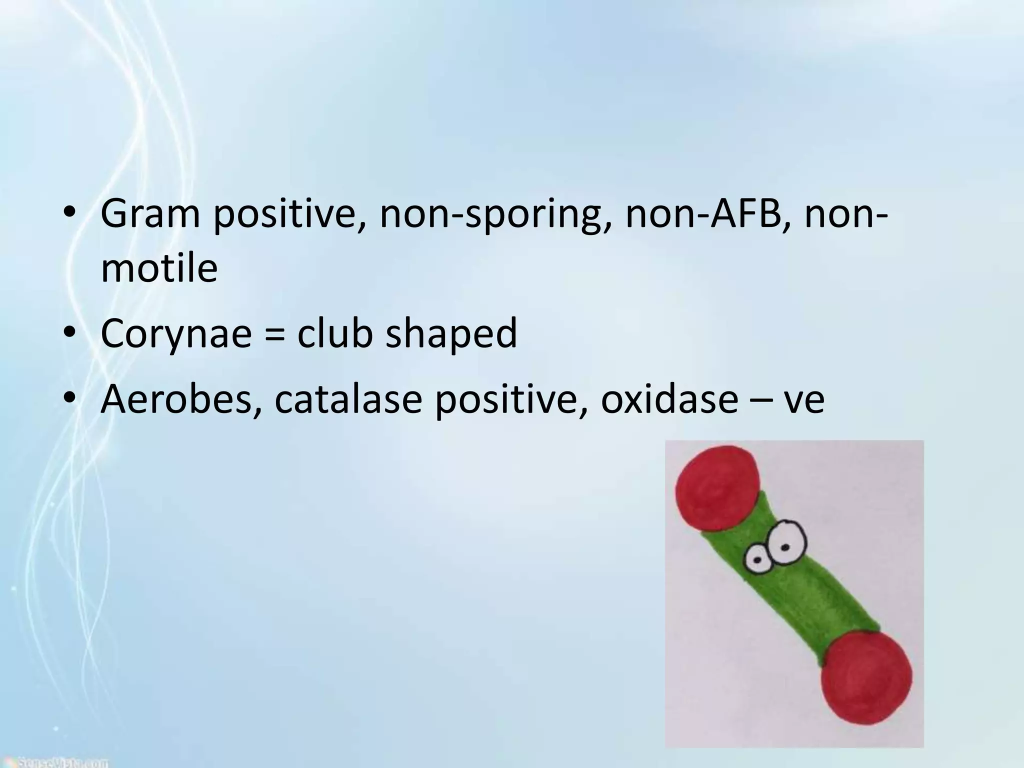Corynebacterium | PPTX