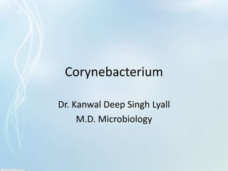 Corynebacterium | PPTX