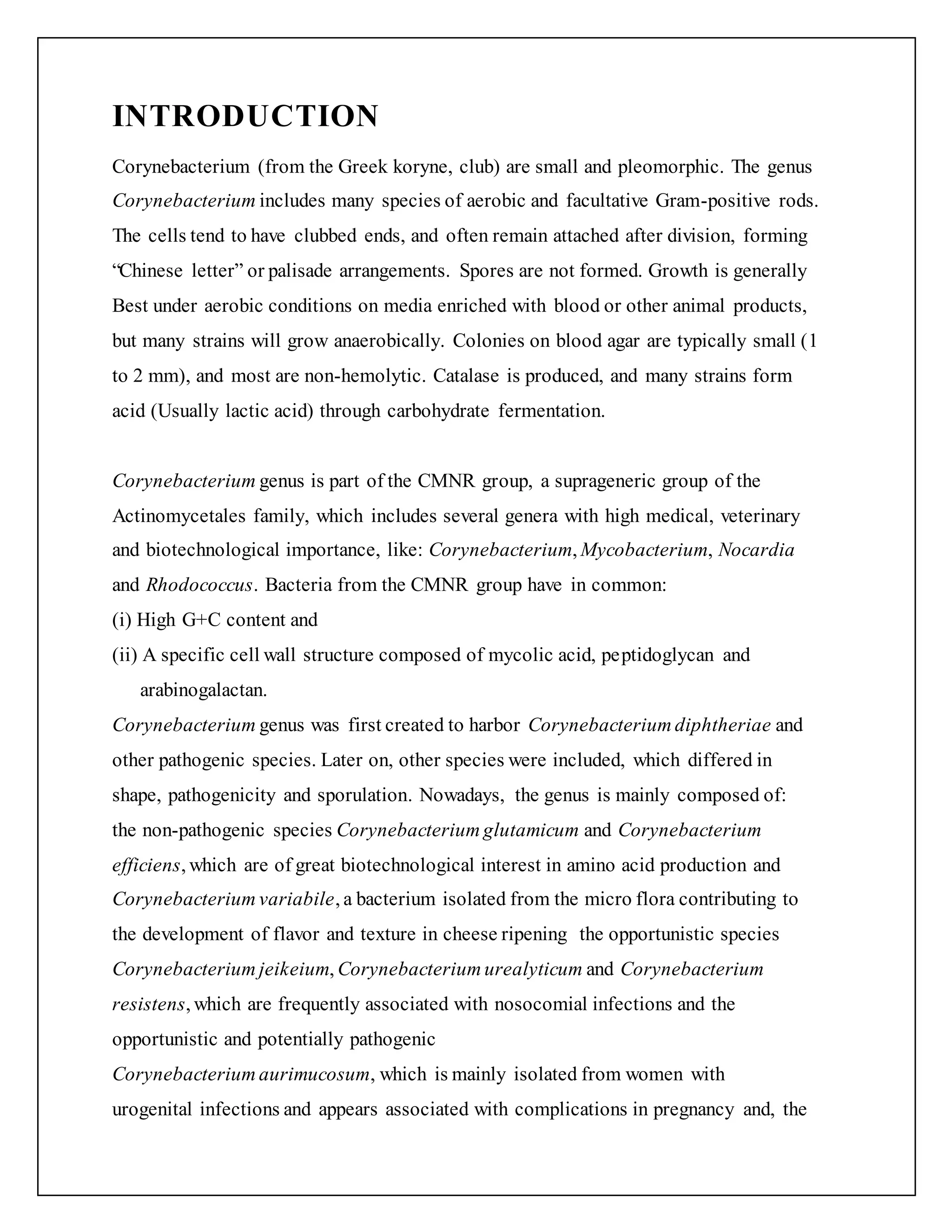 Corynebacterium | DOCX