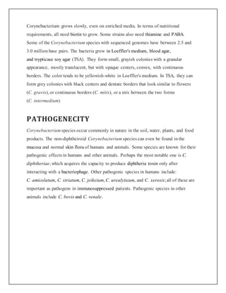 Corynebacterium | DOCX
