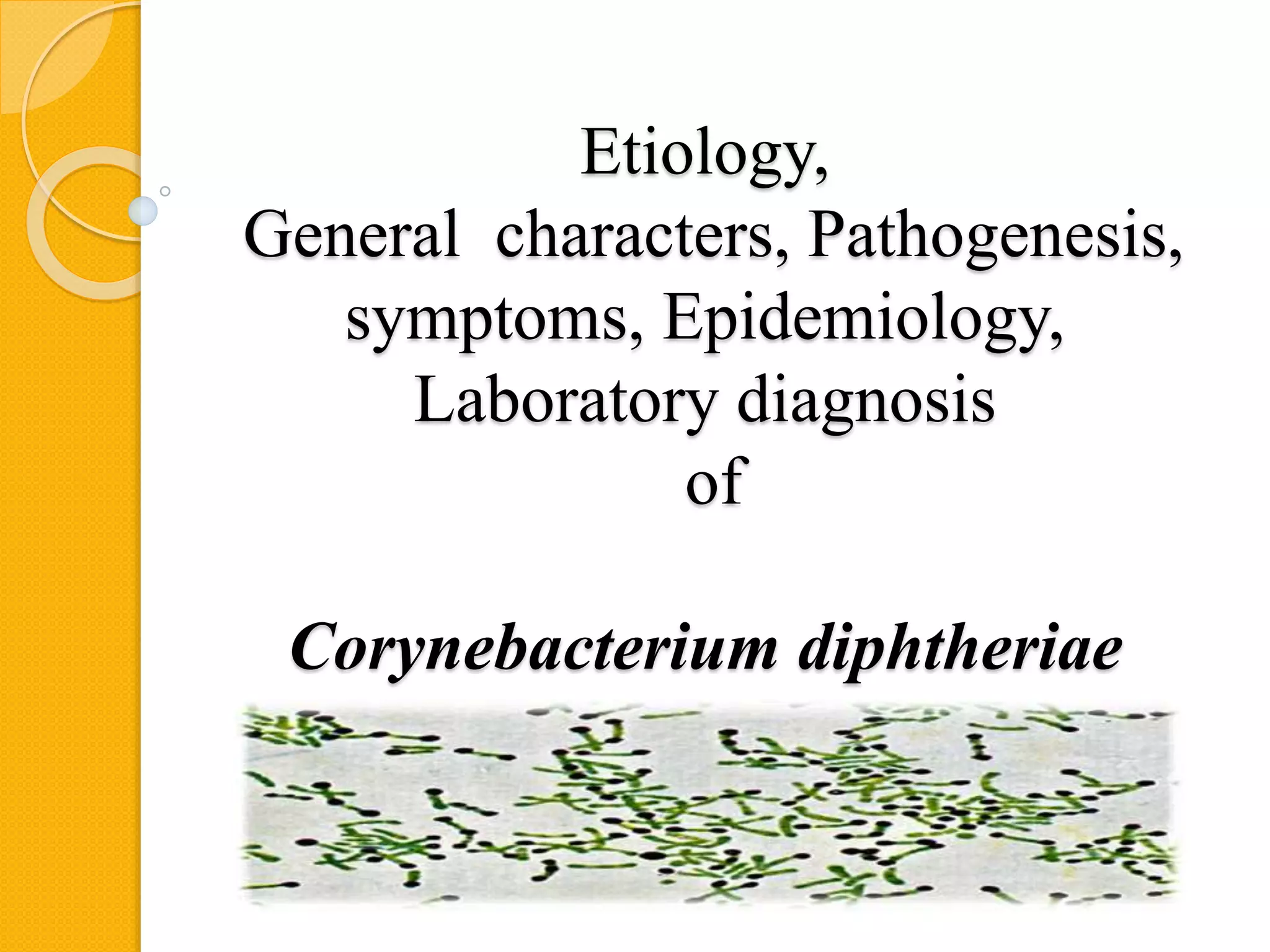 Bacterial diseases - Corynebacterium | PPTX | Ear, Nose and Throat ...