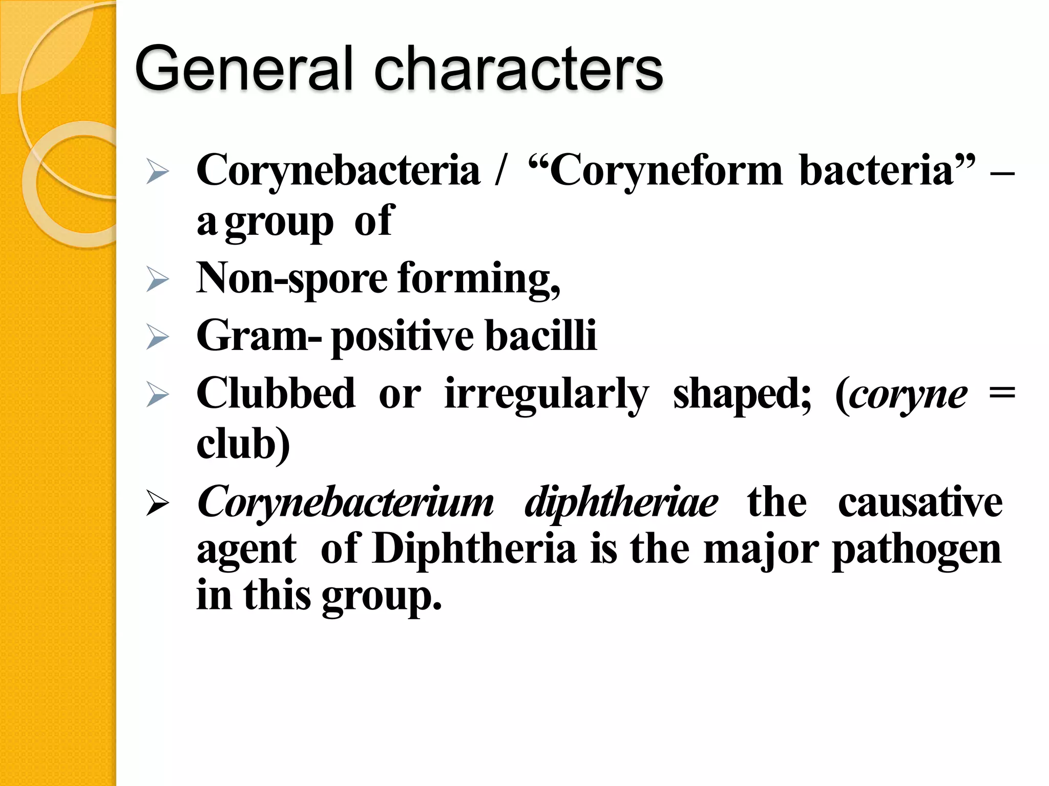 Bacterial diseases - Corynebacterium | PPTX | Ear, Nose and Throat ...