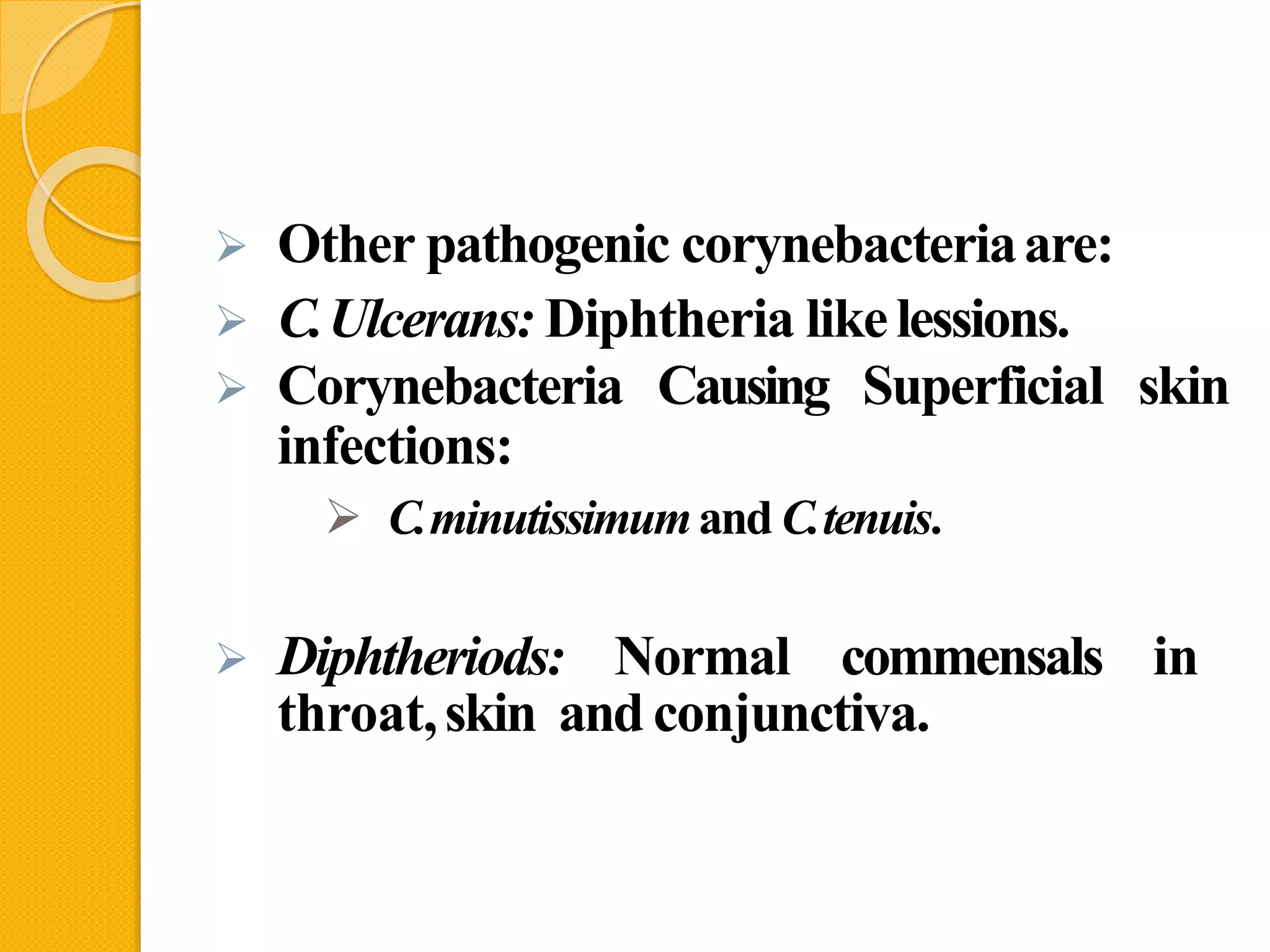 Bacterial diseases - Corynebacterium | PPTX | Ear, Nose and Throat ...