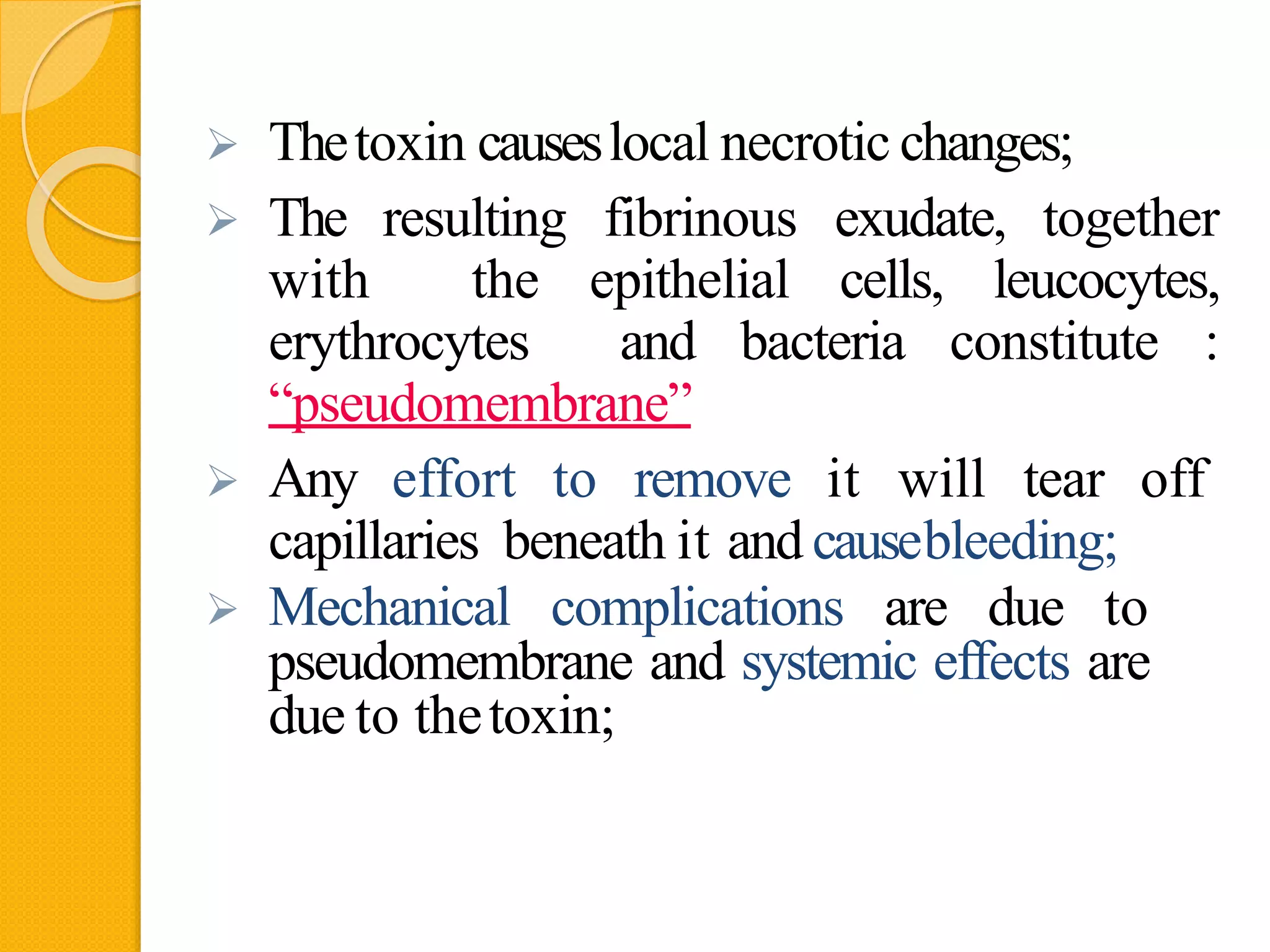 Bacterial diseases - Corynebacterium | PPTX | Ear, Nose and Throat ...