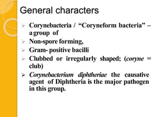 Bacterial diseases - Corynebacterium | PPTX | Ear, Nose and Throat ...