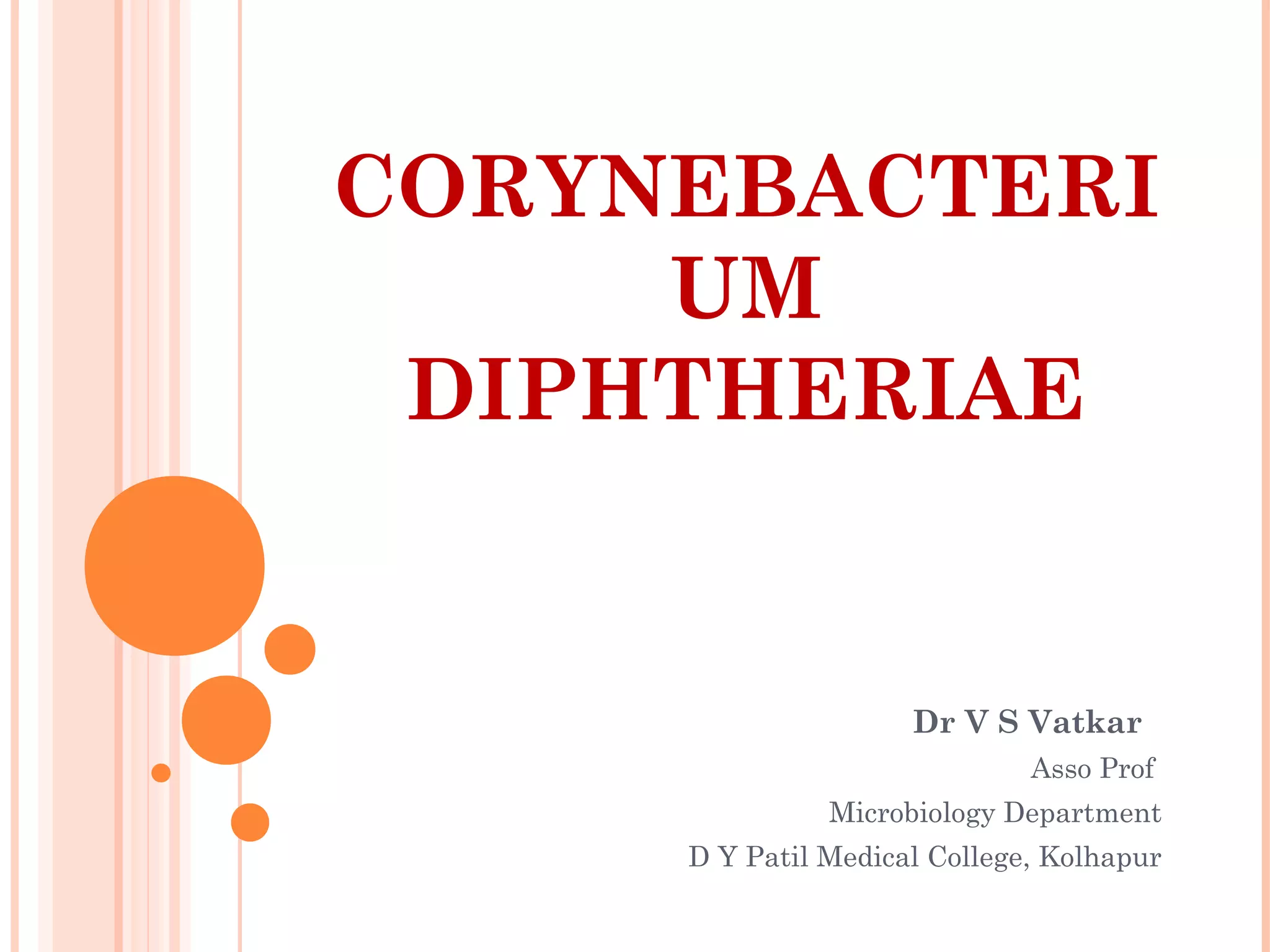 Corynebacterium | PPT