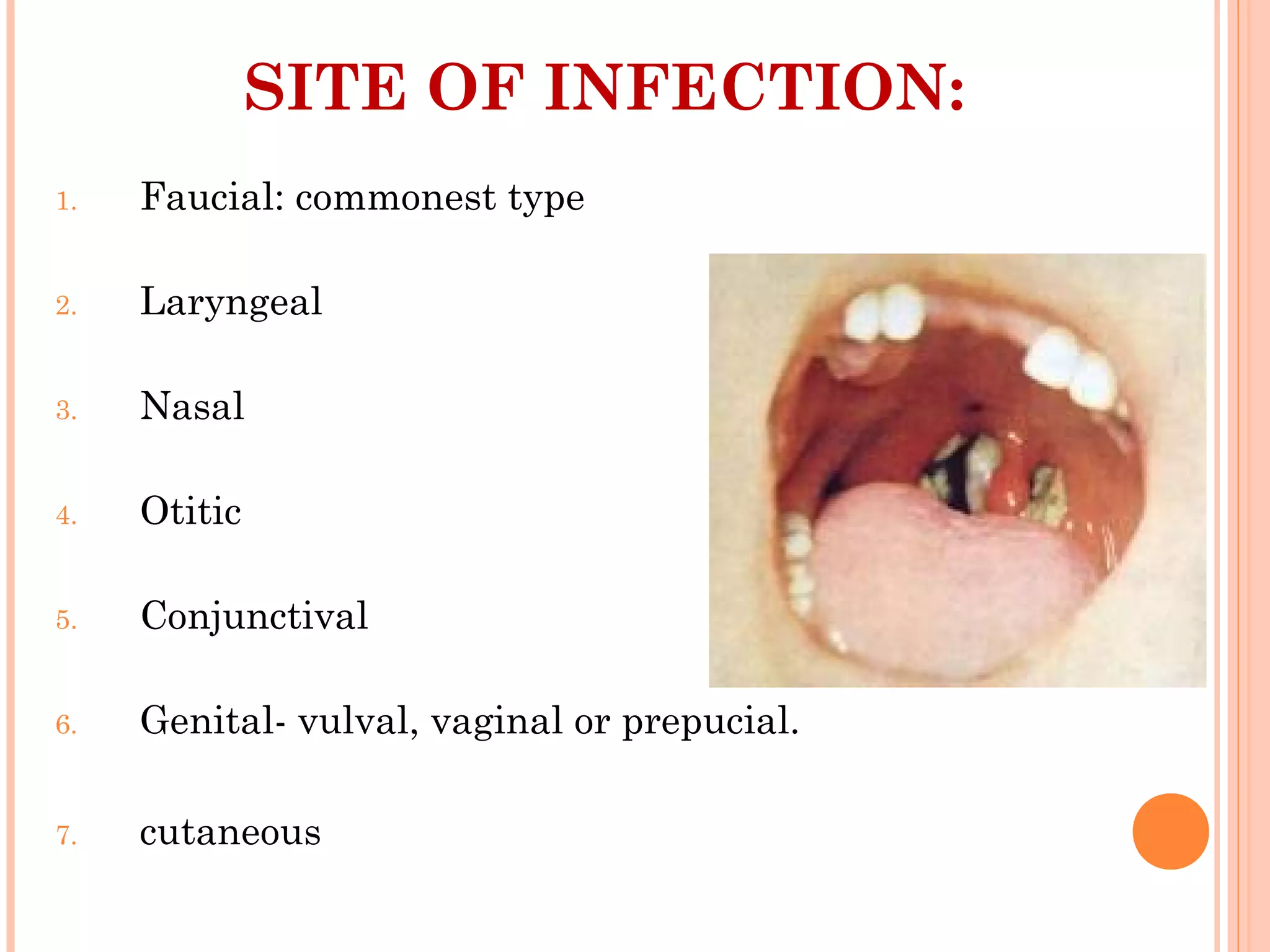 Corynebacterium | PPT