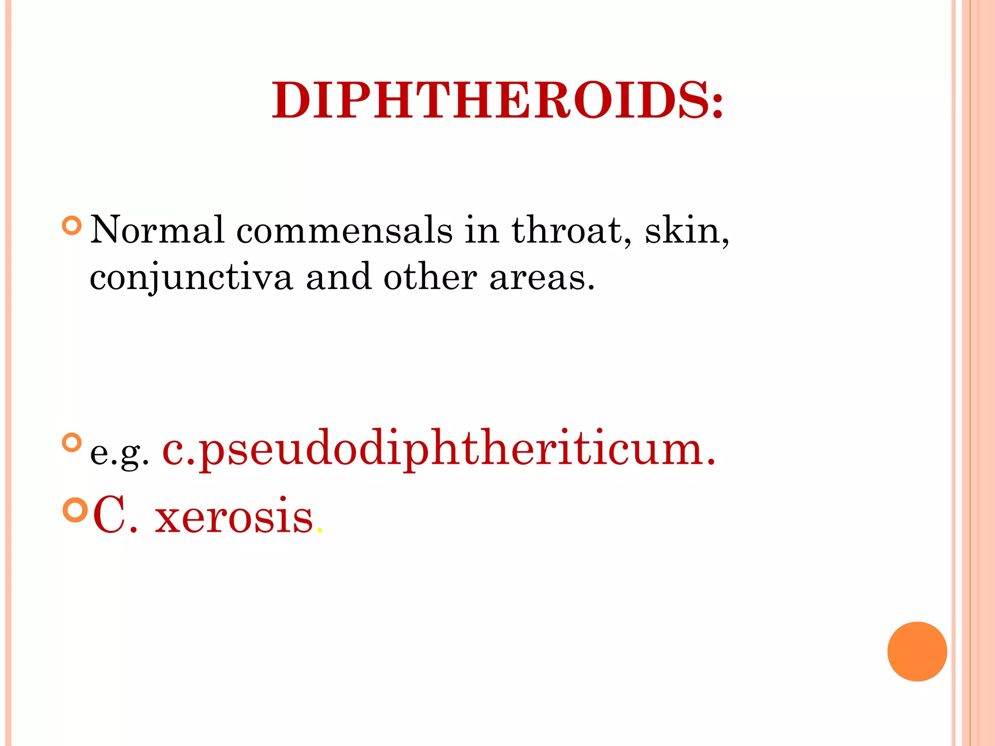 Corynebacterium | PPT