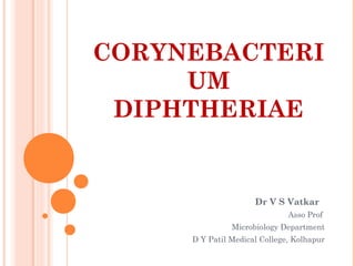 Corynebacterium | PPT