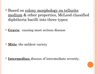 Corynebacterium | PPT