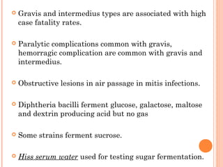 Corynebacterium | PPT