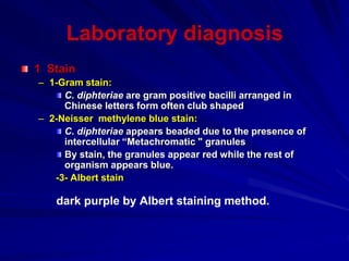 عملي Corynebacterium-1 (Muhadharaty).ppt