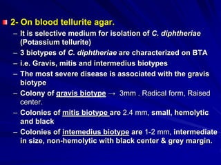 عملي Corynebacterium-1 (Muhadharaty).ppt