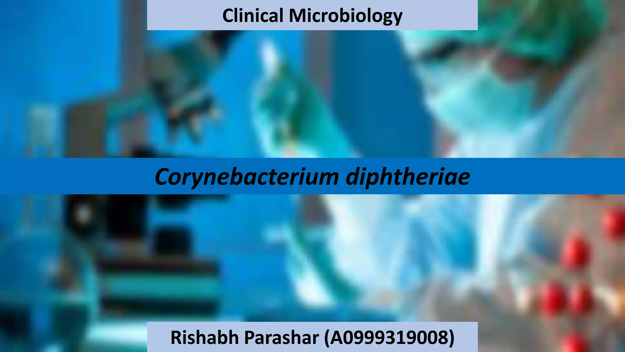 Corynebacterium diphtheriae | PPTX