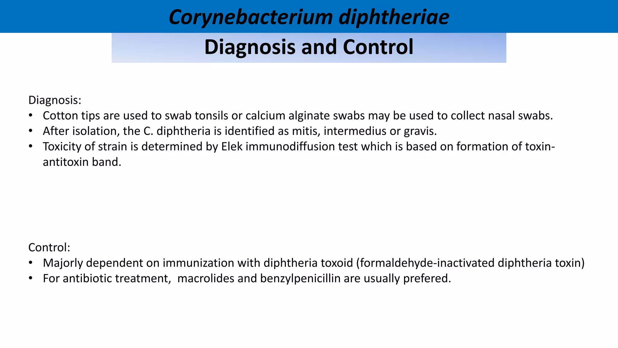 Corynebacterium diphtheriae | PPTX
