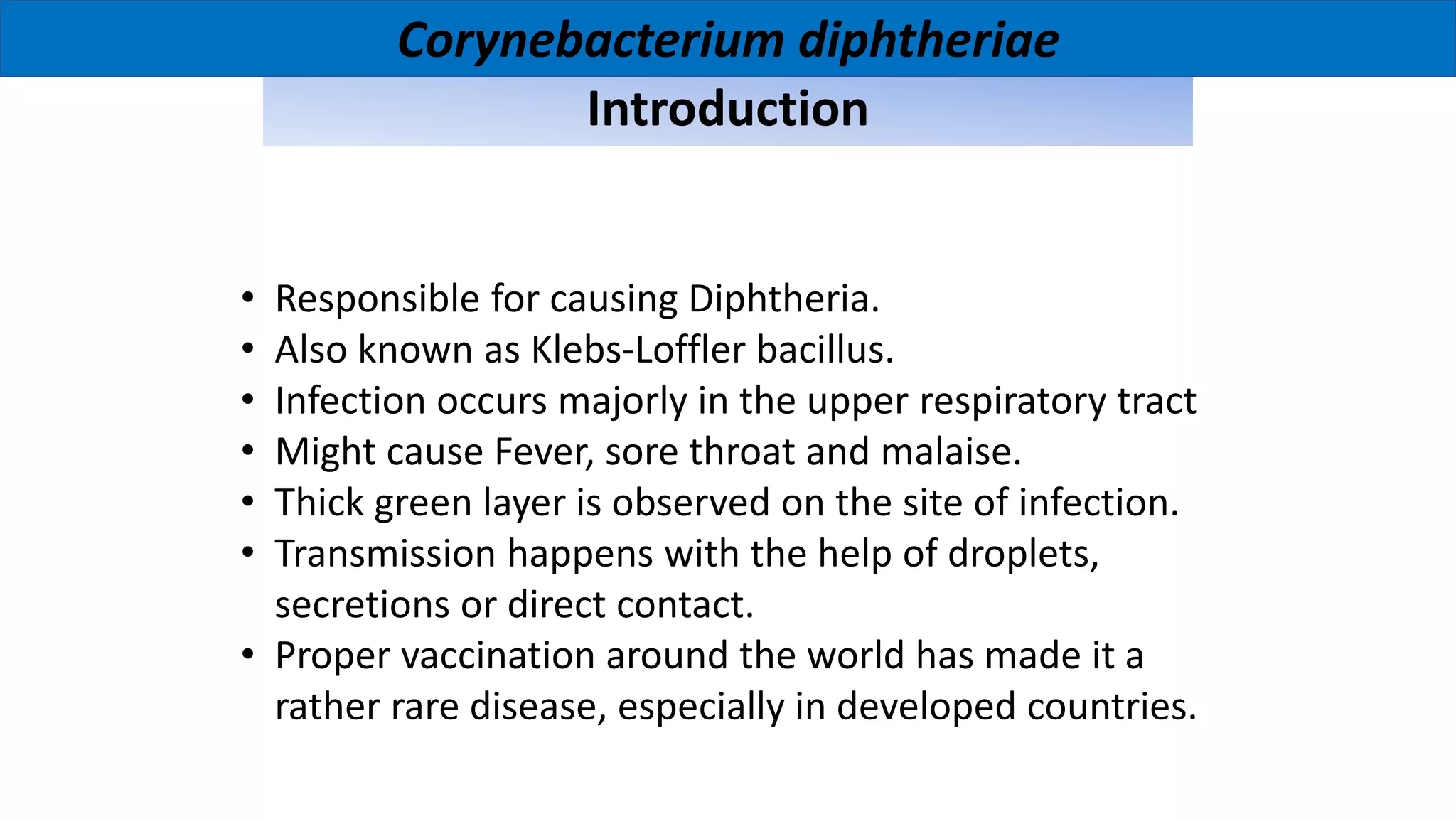 Corynebacterium diphtheriae | PPT